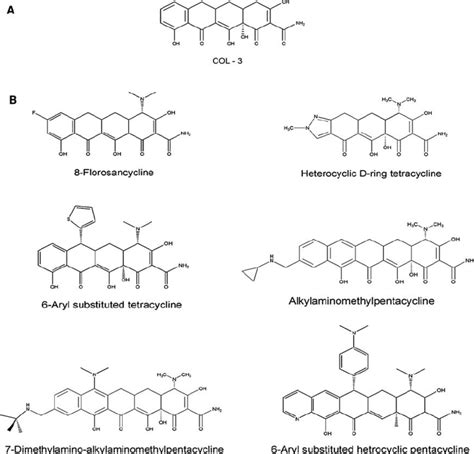 Newly Developed Tetracycline Analogs A Promising Anticancer Drug