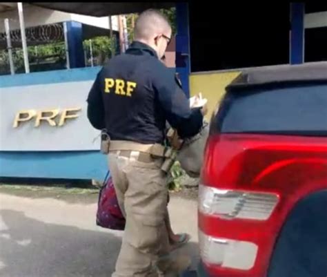 PRF prende homem mandado de prisão por estupro Jornal Folha do Aço