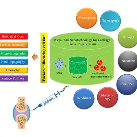 A Schematic Representation Of The Issues Covered In This Review Download Scientific Diagram