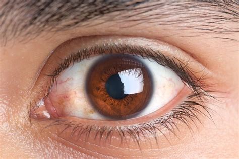 How Many Times Do You Blink In A Day Blink Protocol
