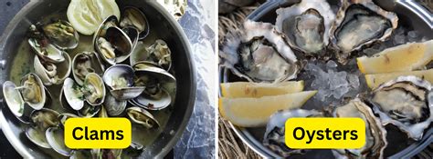 Types Of Clams Vs Oysters And Their Differences Kimecopak