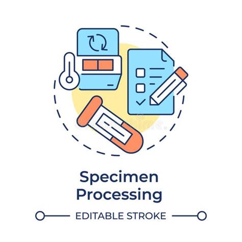Specimen Processing Multi Color Concept Icon Stock Vector
