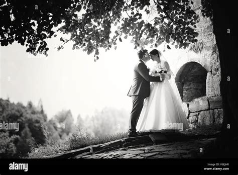 Wedding Couple Under Tree Stock Photo Alamy