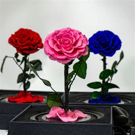 Sofia Nature Natural Luxurious Self Care Products