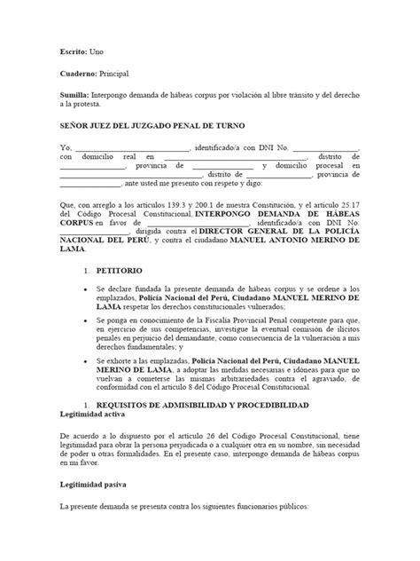 Modelos De Habeas Corpus Pdf Habeas Corpus Policía