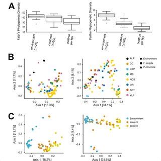 Representative Alpha And Beta Diversity Comparisons Between