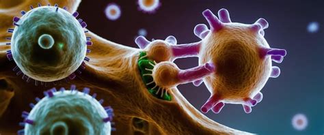 Microscopic View Of Chondrocytes Demonstrating Cellular Attachment And Growth Premium Ai