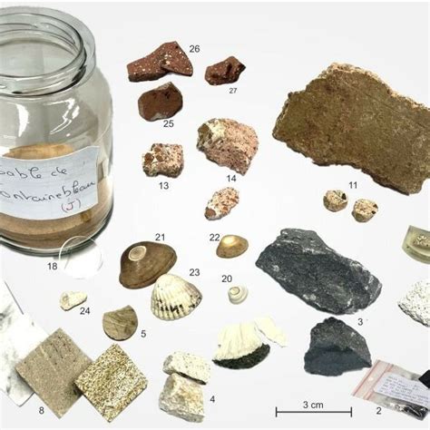 Overview Of The Samples Used To Build The Reference Spectra Download