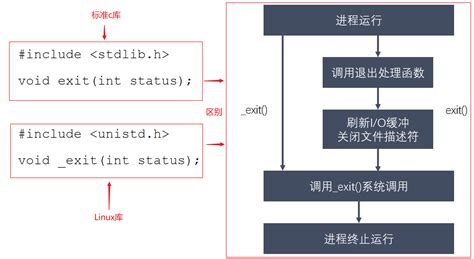 02 Linux多进程开发 Csdn博客
