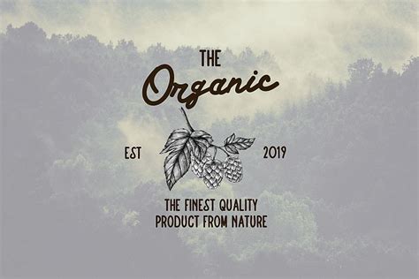 Quotes Script Font Graphicux Quotes Script Font Graphicux