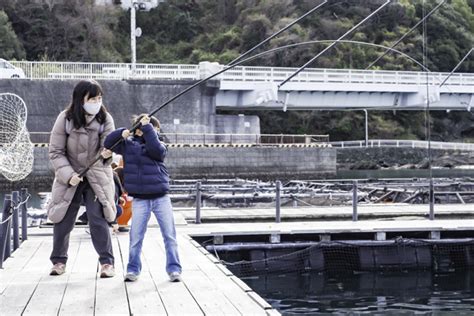和歌山市観光協会 公式hp｜わかやまあそび