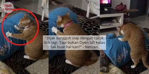 Soal Keselamatan Di Jalan Raya Kelas 8