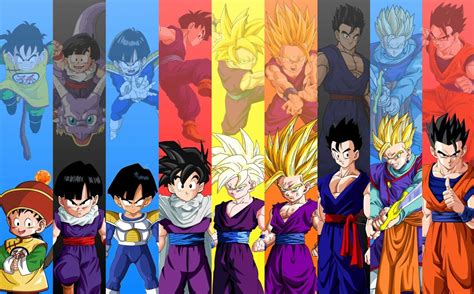 Gohan Forms
