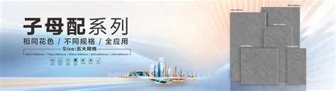 腾盛陶瓷官网 陶瓷一线品牌 陶瓷十大品牌 现代素雅石 舒雅质感石 腾盛石系列 中华腾盛石 瓷砖十大品牌 广东全圣陶瓷有限公司