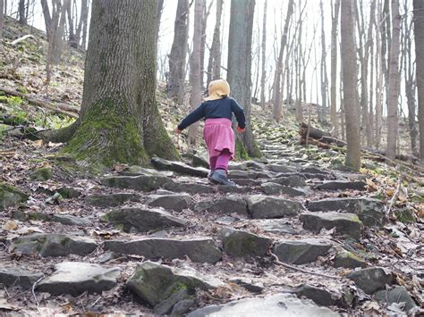 Ostrzyca Najpiękniejsze Wzniesienie Sudetów Szlak Mapa Dojazd [pogórze Kaczawskie]