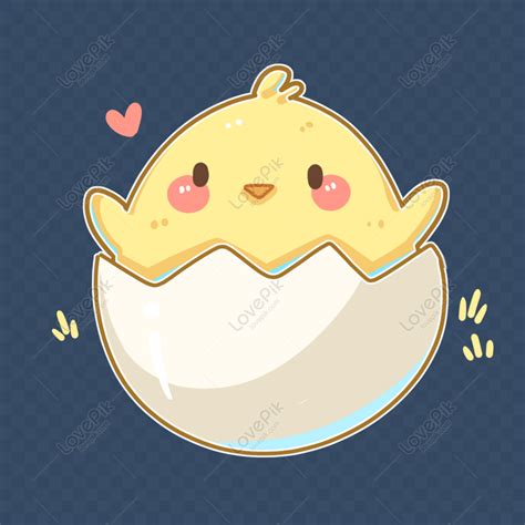 병아리 이미지 사진 401388029 무료 다운로드