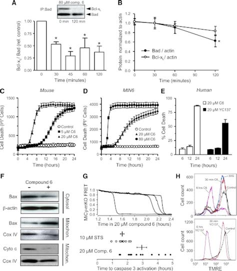 Small Molecule Inhibition Of Bcl 2bcl Xl Rapidly Displaces Bad And