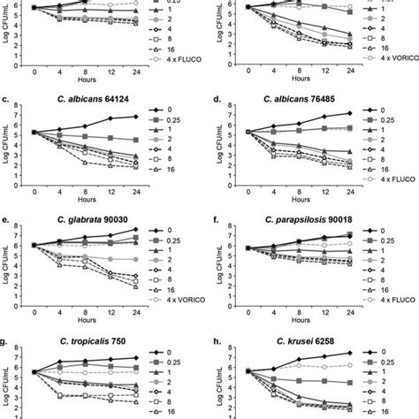 Percentage Of Candida Albicans And Other Candida Species By Age