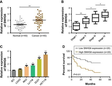 Snhg6 Was Overexpressed In Crc Tissues And Cell Lines And Associated