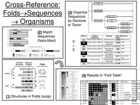 Ppt Analyzing Genomes And Transcriptomes With Structural And Functional Categories Powerpoint