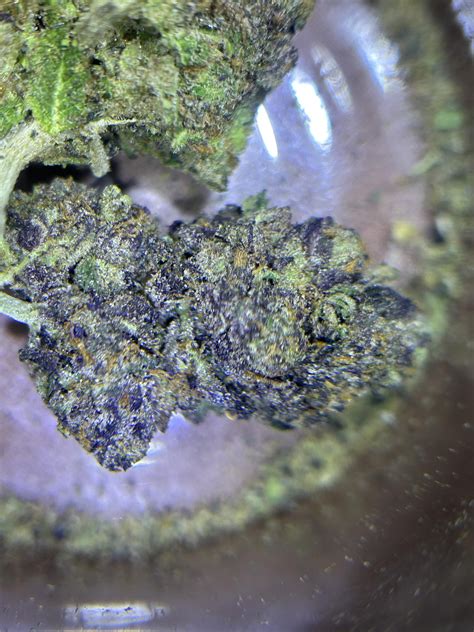The Visual Difference Between Two Different Strains 😍 Weed Is So