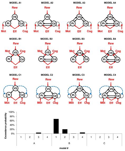 Dynamic Causal Modeling Dcm Analysis Optimizing The Connectivity