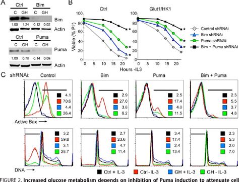 Figure 1 From Glucose Metabolism Attenuates P53 And Puma Dependent Cell