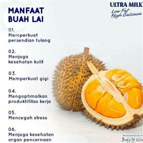 Jual Buah Durian Lay Buah Lai Indonesia Shopee Indonesia
