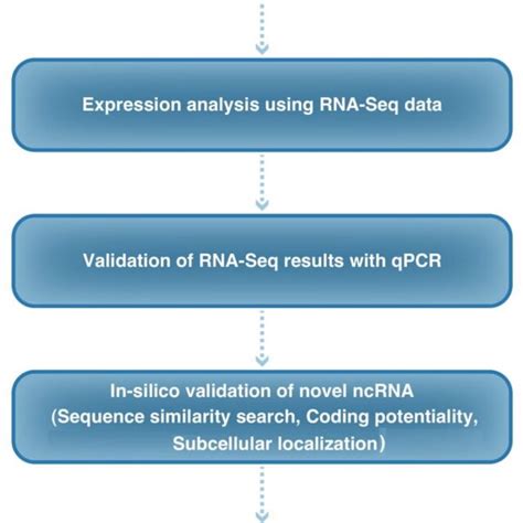Roadmap For Discovering Novel Lncrna Based On Single Epimutation Download Scientific Diagram