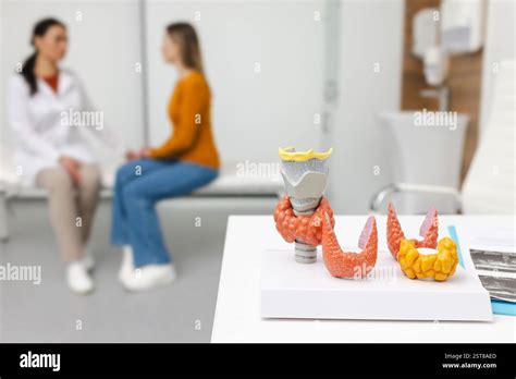 Diagnostics Of Thyroid Diseases Hypothyroidism Or Hyperthyroidism Endocrinologist Consulting