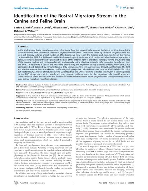 Pdf Identification Of The Rostral Migratory Stream In The Canine And