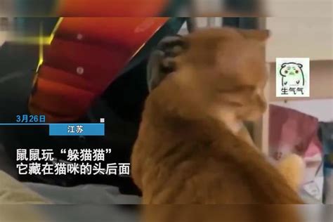 最危险的地方就是最安全的