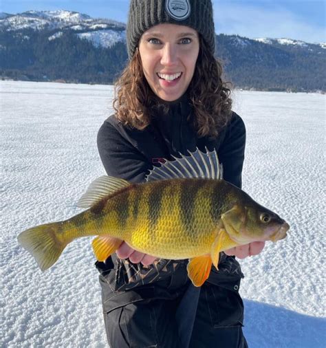 Ice Fishing Lake Cascade Jumbo Perch How To Plan Your Trip Virtual