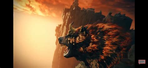 Is That A Fucking Rune Bear R Eldenring