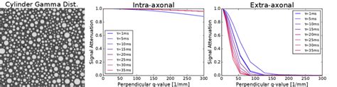 4 The Perpendicular Intra And Extra Axonal Signal Attenuation For