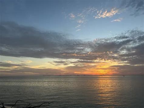Best Hikes And Trails In Cape Charles Natural Area Preserve Alltrails