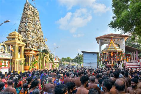 Nachimar Temple Chariot Festival Celebrated In Jaffna Tamil Guardian