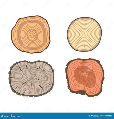 Tree Slices Vector Set Stock Vector Illustration Of Circle 79680282