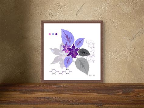 Seductive Purple Orchids Gray And Lilac Coleus Leaves With Subtle