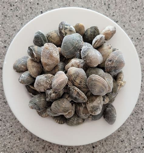 바지락 볶음 만드는 법 두반장 조개 볶음조개 요리술안주 요리