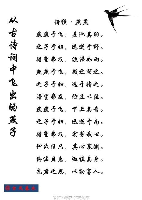 從唐詩宋詞中飛出的燕子！ 每日頭條
