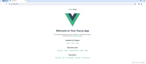 脚手架vue Cli自定义创建vue项目，完整详细步骤！ 阿里云开发者社区