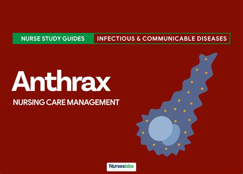 Anthrax Nursing Care Management And Care Plan Nurseslabs