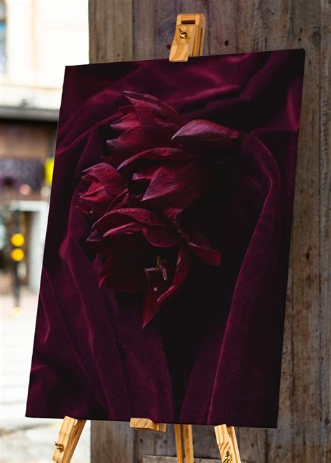 Velvety Posters And Prints By Dora Alexandra Nacsa Printler