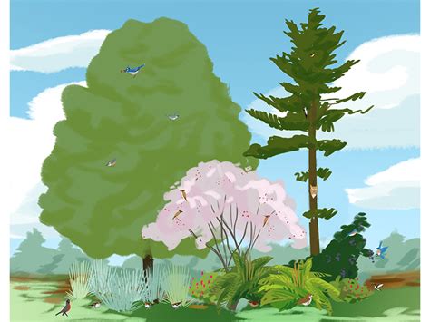 Anna Rettberg 2014 Bartels Science Illustration Program