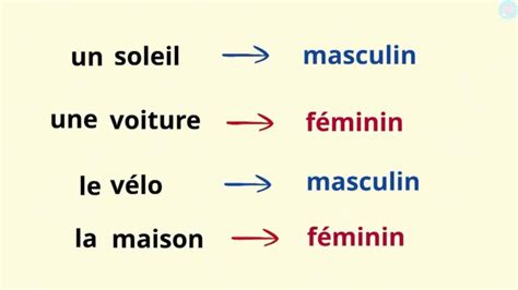 Masculin féminin les apprendre en CP CE Maître Lucas