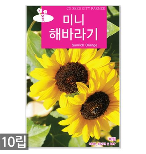 미니 해바라기 씨앗 10립 해바라기씨앗 미니해바라기씨앗 꽃씨앗 꽃씨 씨 야생화씨앗 야생화 야생꽃씨 티몬