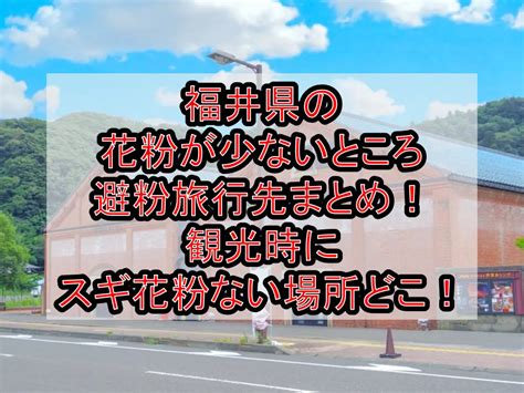 福井県の花粉が少ないところ･避粉旅行先まとめ観光時にスギ花粉ない場所どこ 旅する亜人ちゃん