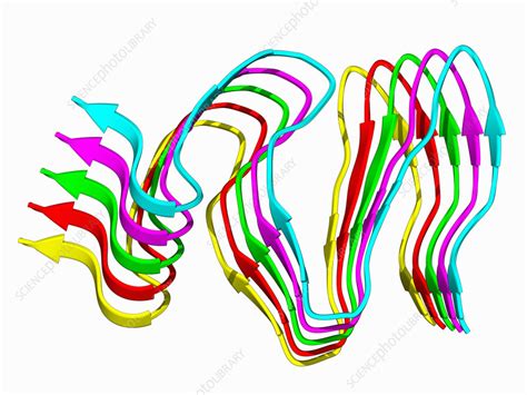 Hnrnpdl Amyloid Fibrils Illustration Stock Image C0575059