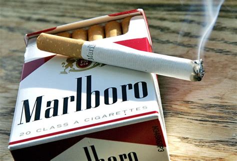 Exclusive Smoked Out Tobacco Giant S War On Science The Independent